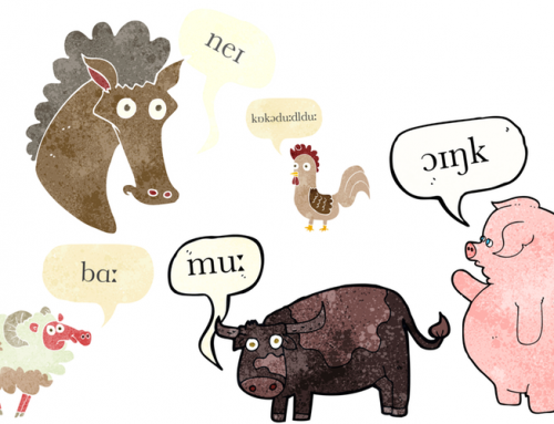 A Pronunciation Guide to English Food - Pronunciation Studio